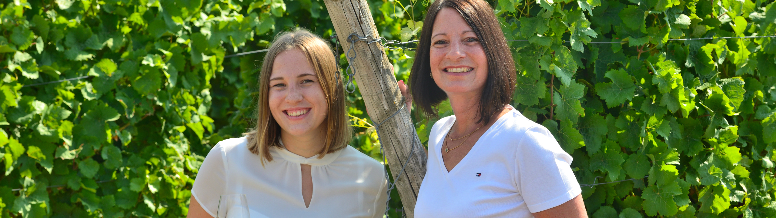 Startseite | Weingut Dengler